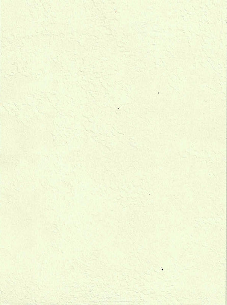 Metallic Plaster - Ivory